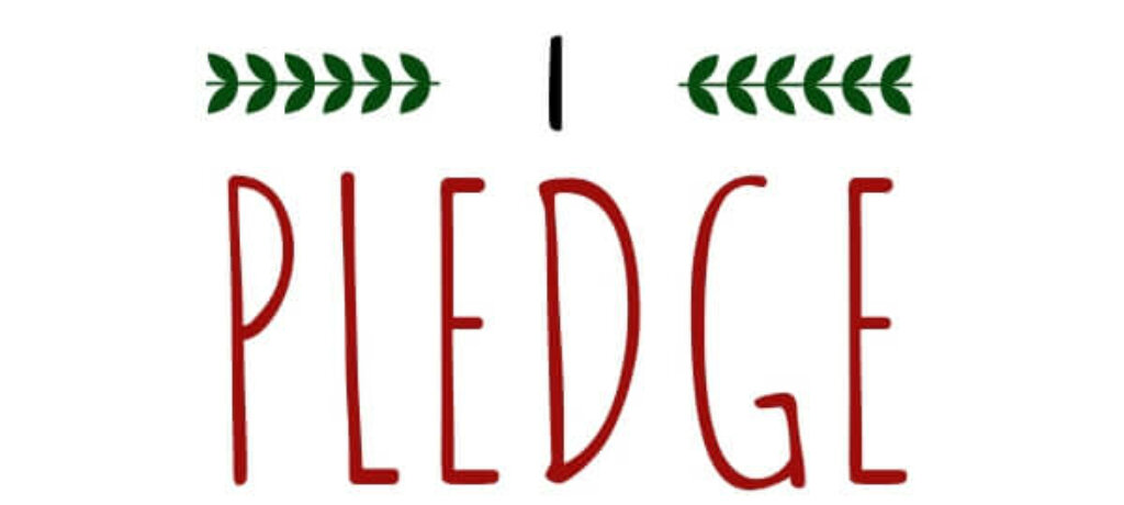 Take the Pledge: The Importance of Shopping Local in Downtown Baraboo ...